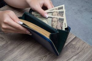A Guide to Japan's Payment Methods - KOMOJU